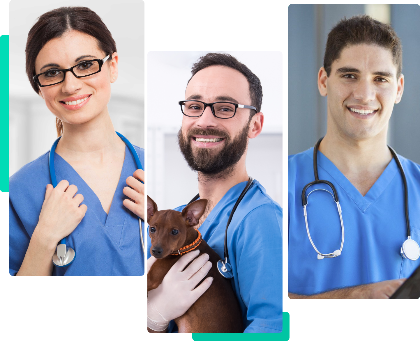 Masters Veterinária – Uma empresa dedicada a cuidar da saúde e bem ...